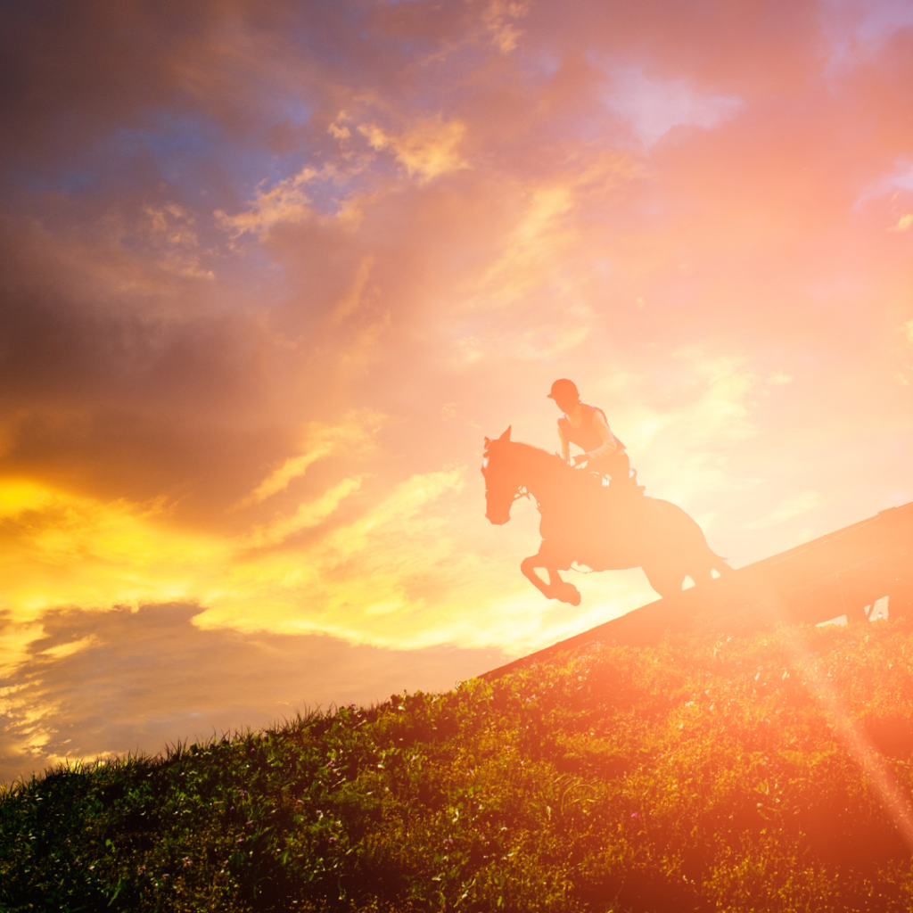 Equine Water Cremation in Ontario